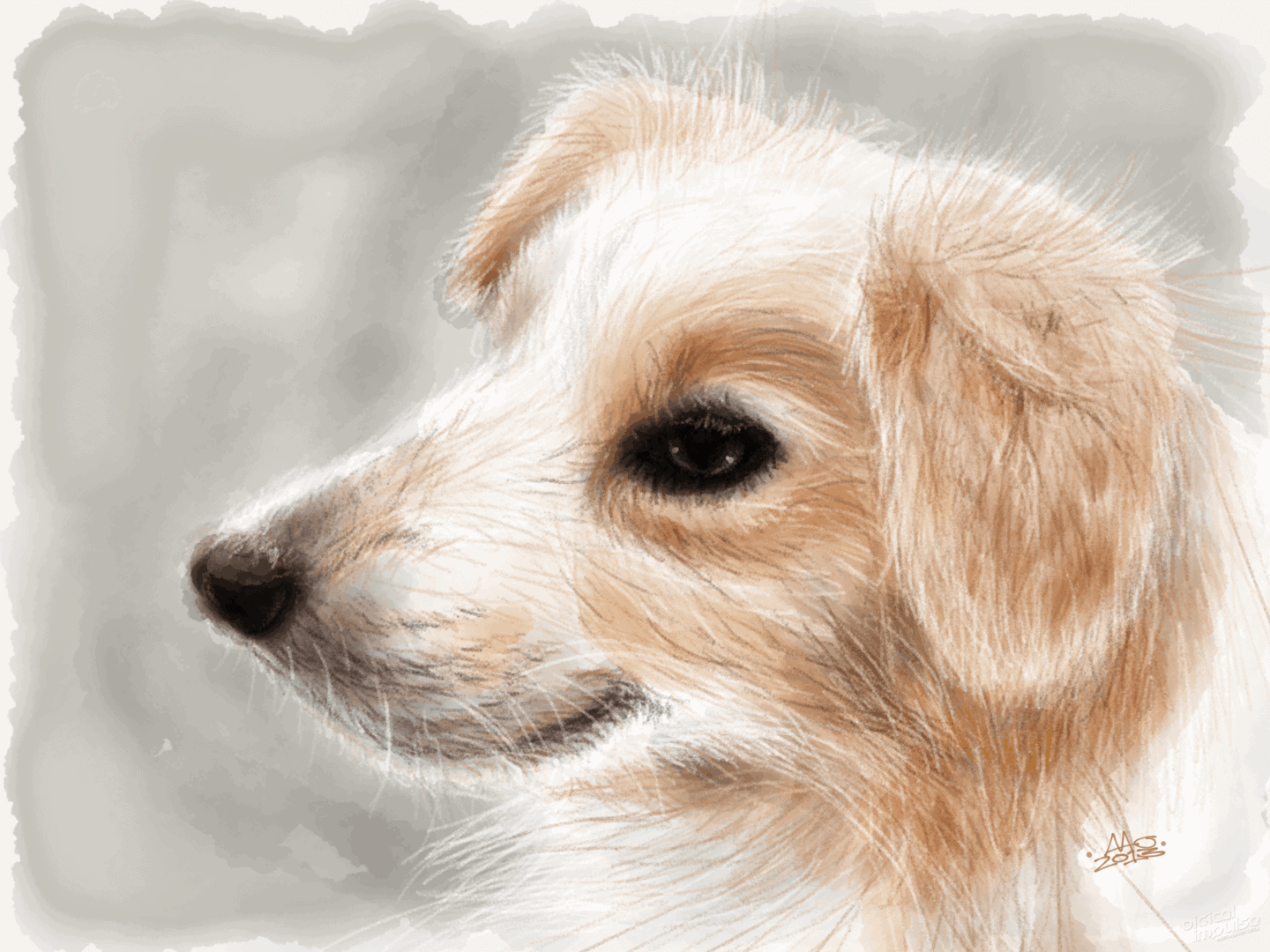 Max - Digital★Impulse