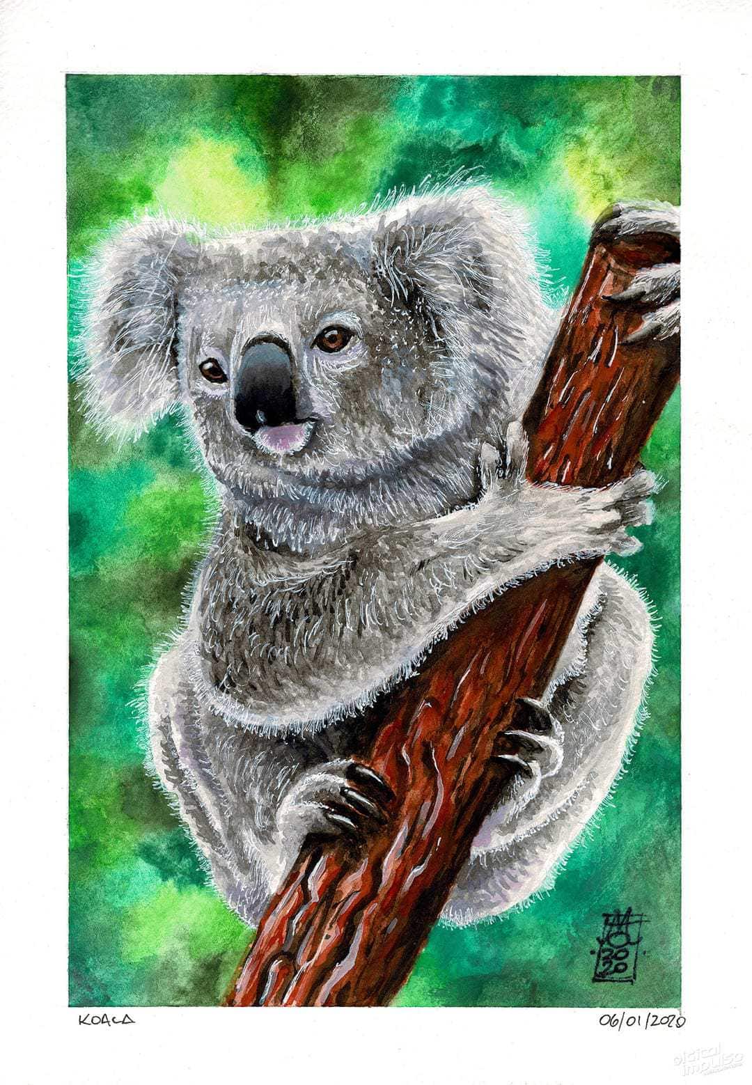 Koala - Digital★Impulse