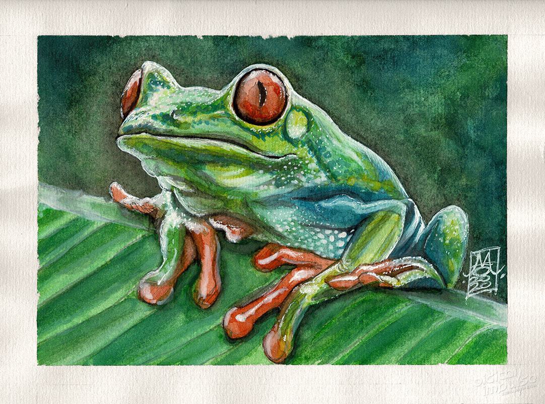 Red-Eyed Tree Frog - Digital★Impulse