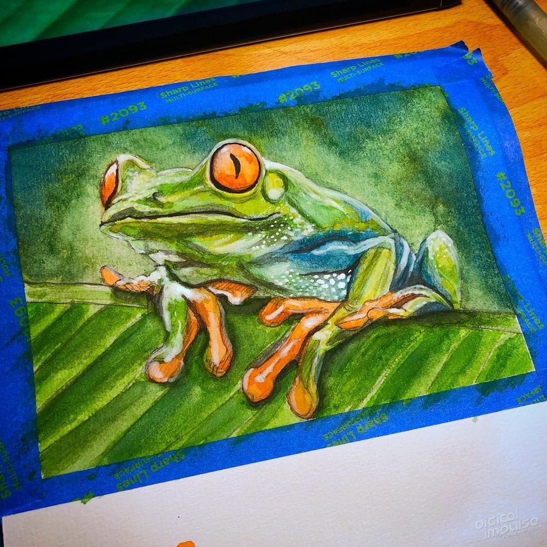 Red-Eyed Tree Frog - Digital★Impulse