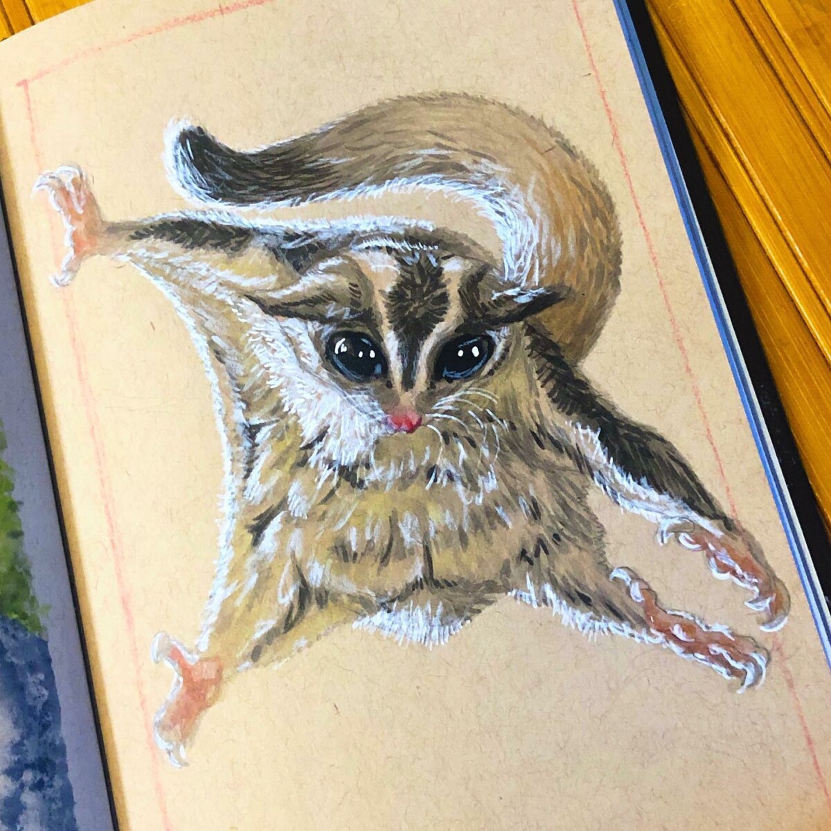 Australian Sugar Glider - Digital★Impulse